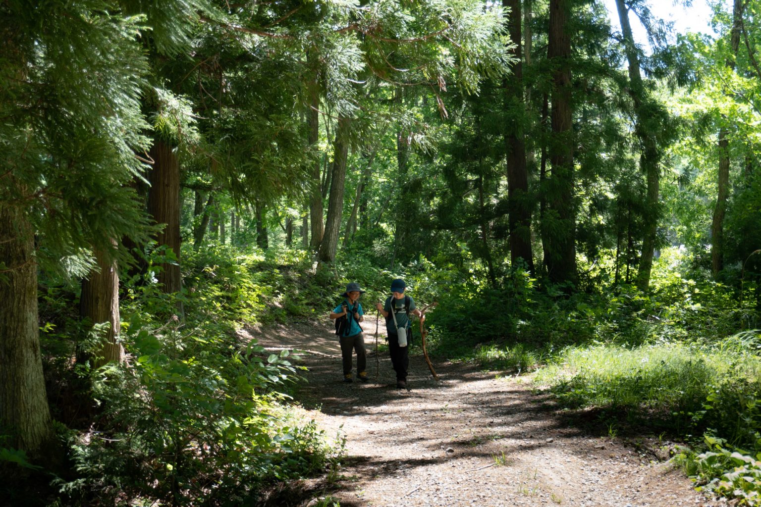 Iwatake Day Hike - Events Hakuba