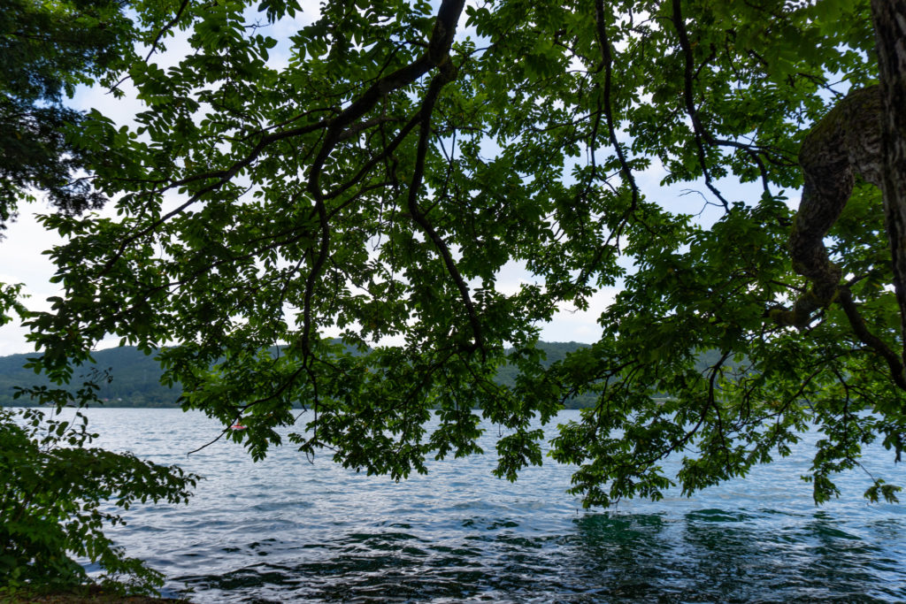 Top 5 Reasons To Visit The Amazing Lake Aoki