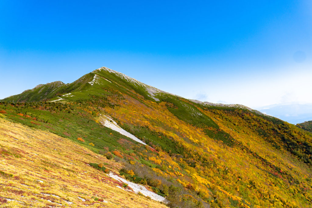 Hakubas Fall Leaves - Don't Miss Autumn in Japan